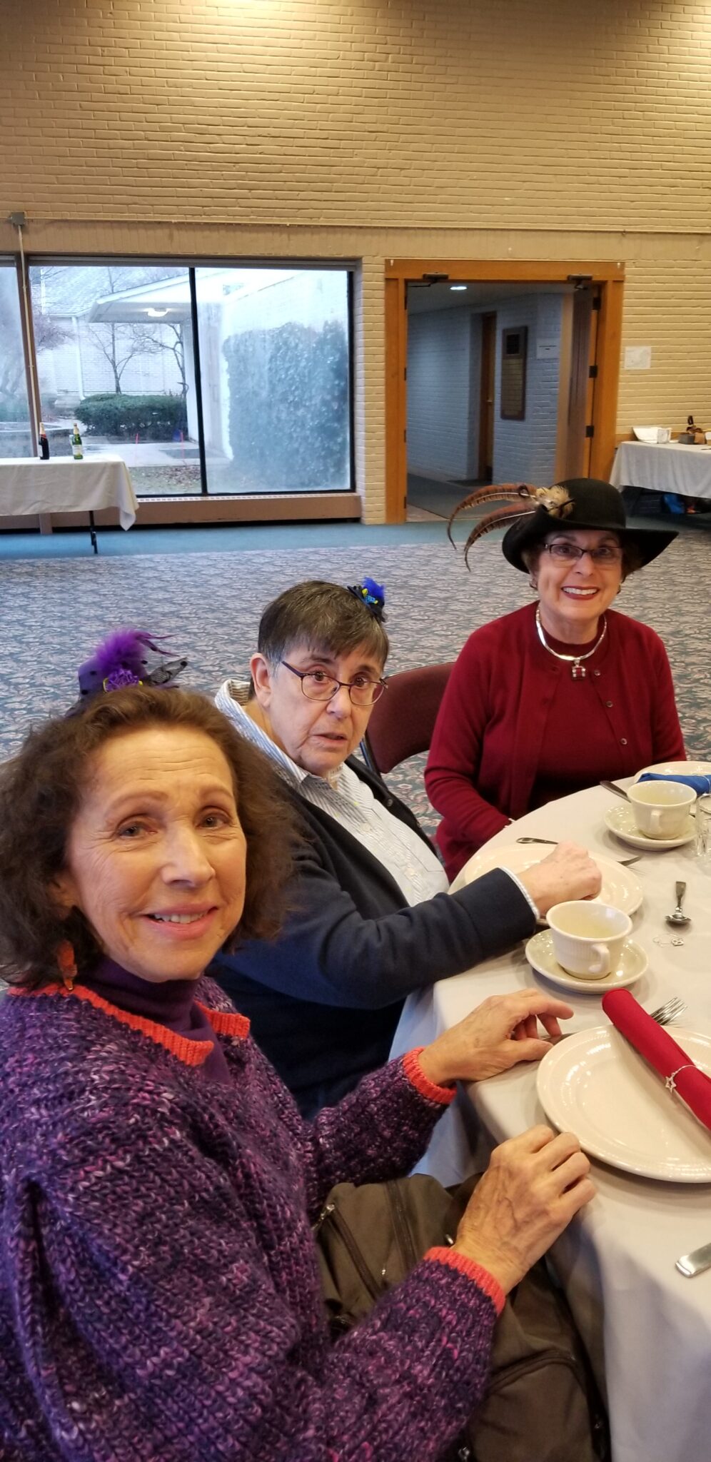 Programs – Women of Temple Beth Emeth